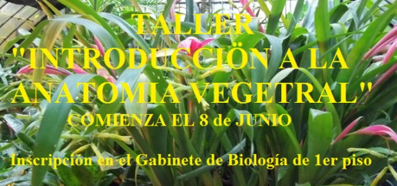 TALLER “INTRODUCCIÓN A LA ANATOMÍA VEGETAL” | Colegio Nacional de ...